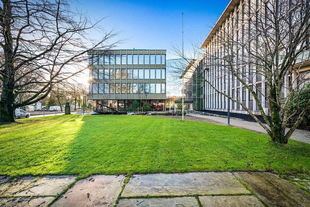 Lyse Elnett - Vikeså Golv