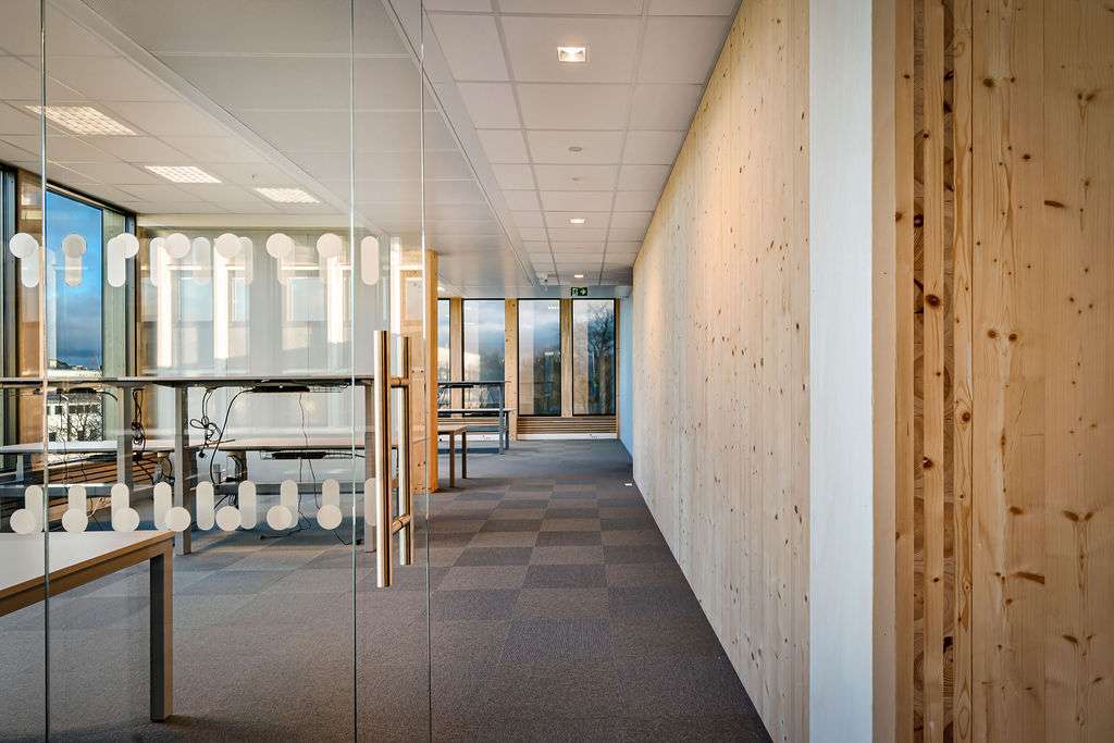 Lyse Elnett - Vikeså Golv